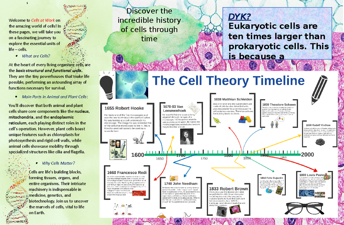Cell brochure yasuka - s What are Cells? At the heart of every living ...