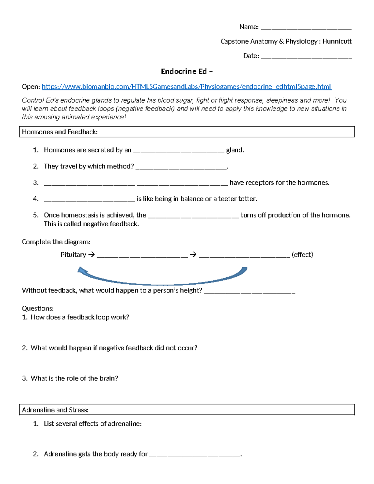 Endocrine Ed worksheet - Name: _________________________ Capstone ...