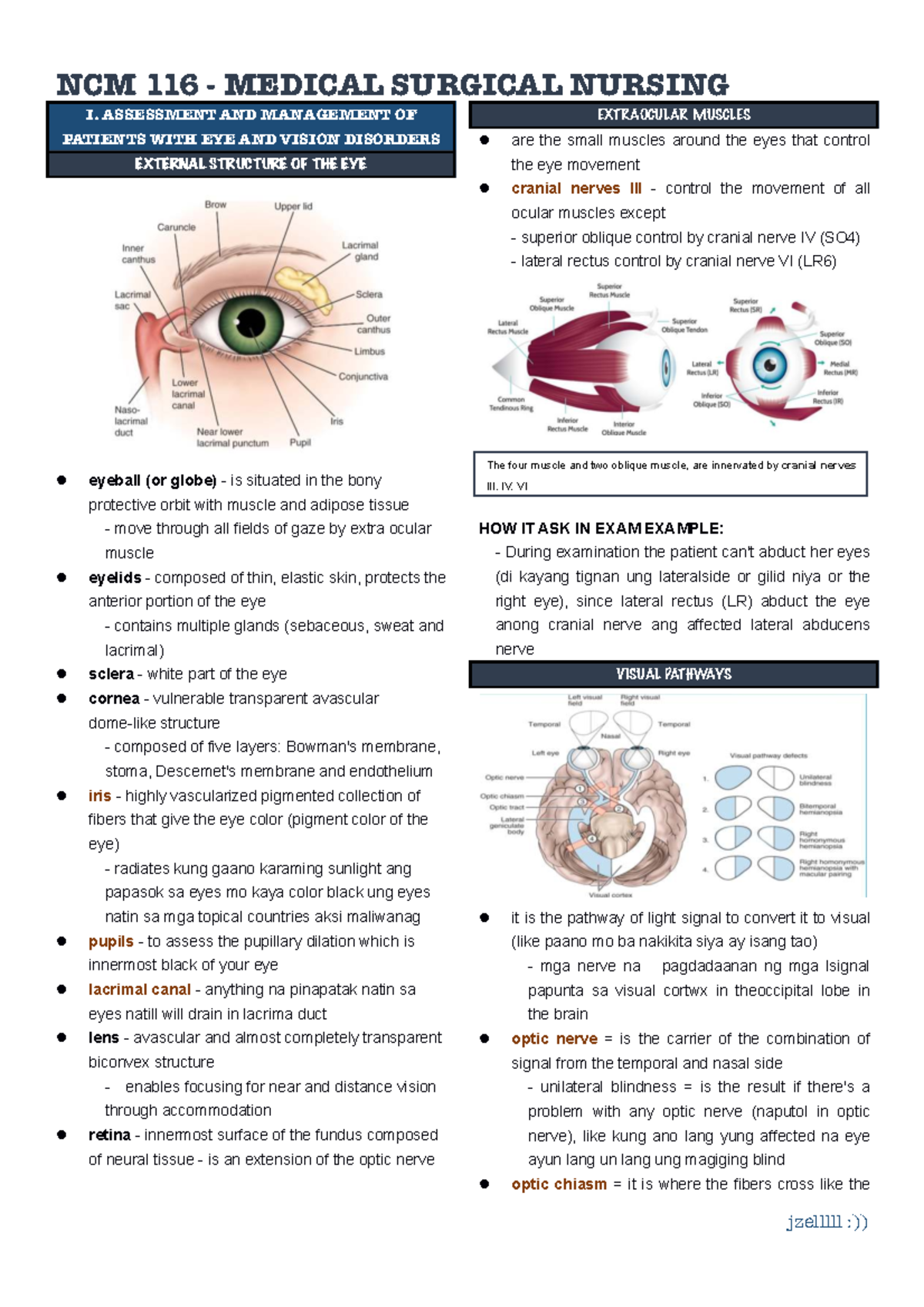 NCM 116 Medical Surgical Nursing I: Eye and Vision Disorders Overview ...