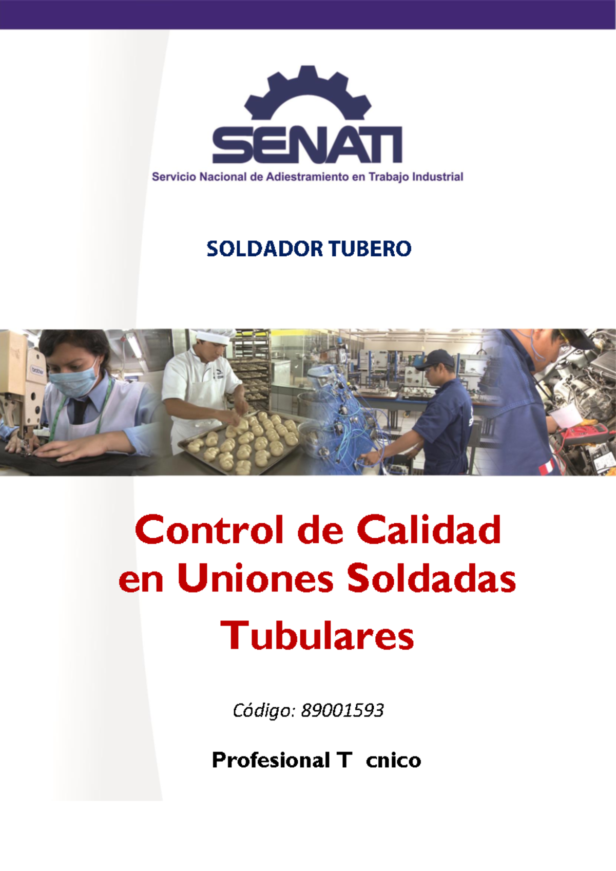 Control De Calidad En Uniones Soldadas Tubulares Código 89001593