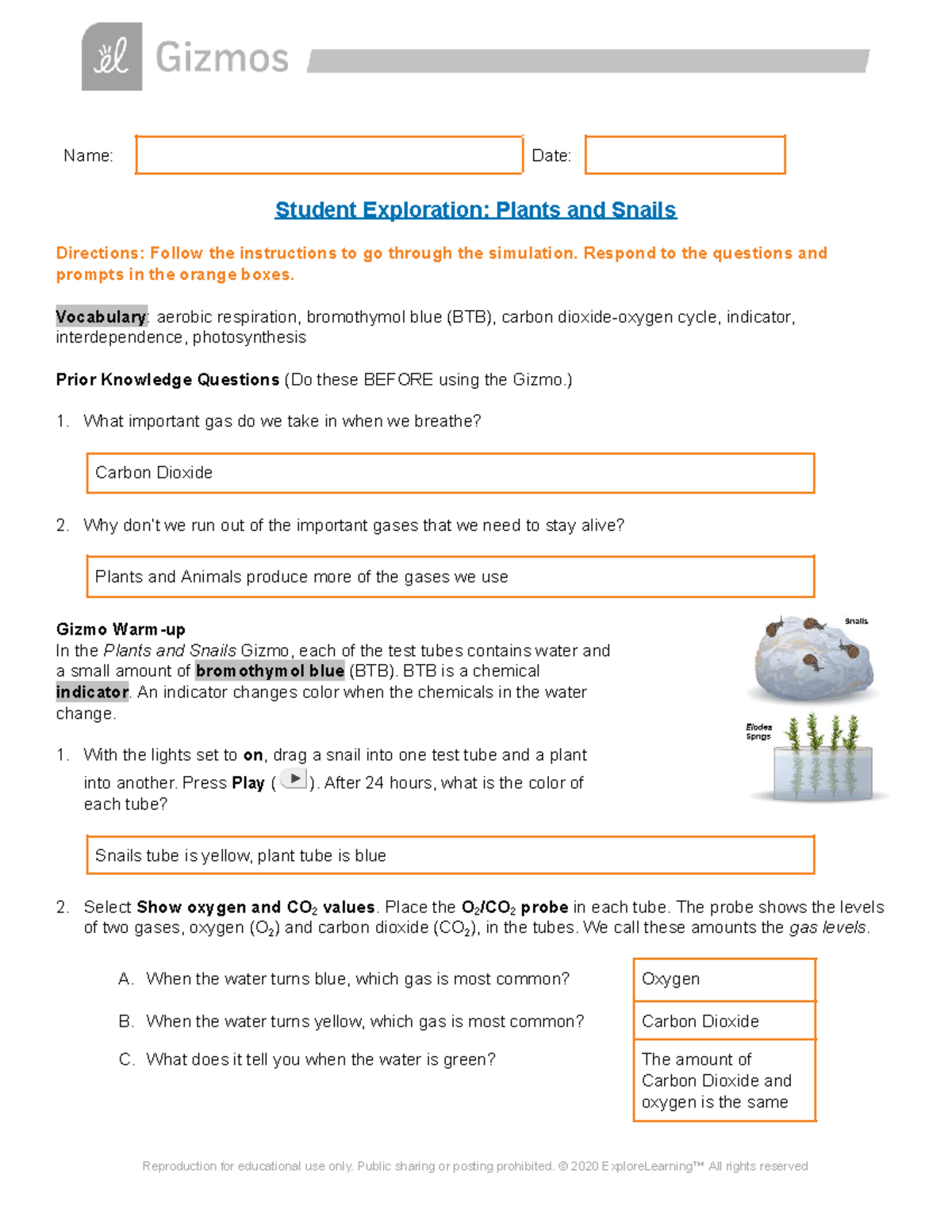 Gizmo SE: Exploring Plants and Snails Interaction in Ecosystems - Studocu
