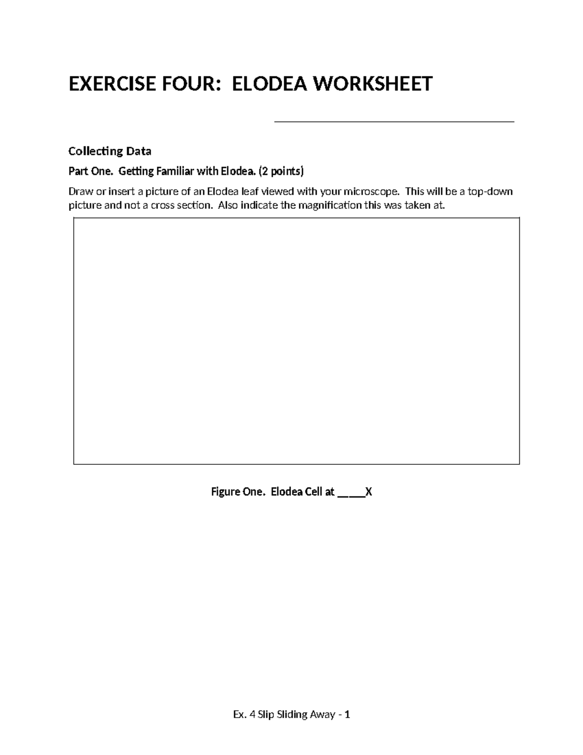 Exercise 4 Worksheet - EXERCISE FOUR: ELODEA WORKSHEET Collecting Data ...