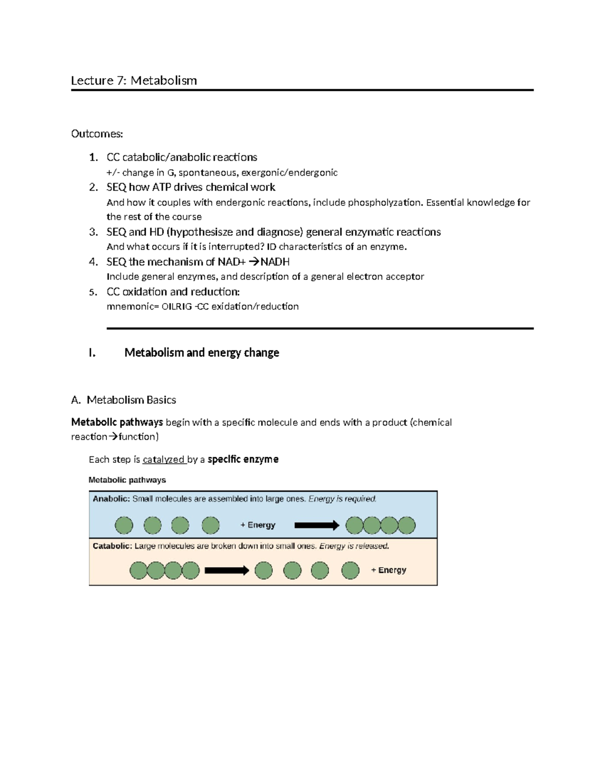 Lecture 7 Metabolism - Lecture 7: Metabolism Outcomes: 1. CC catabolic ...