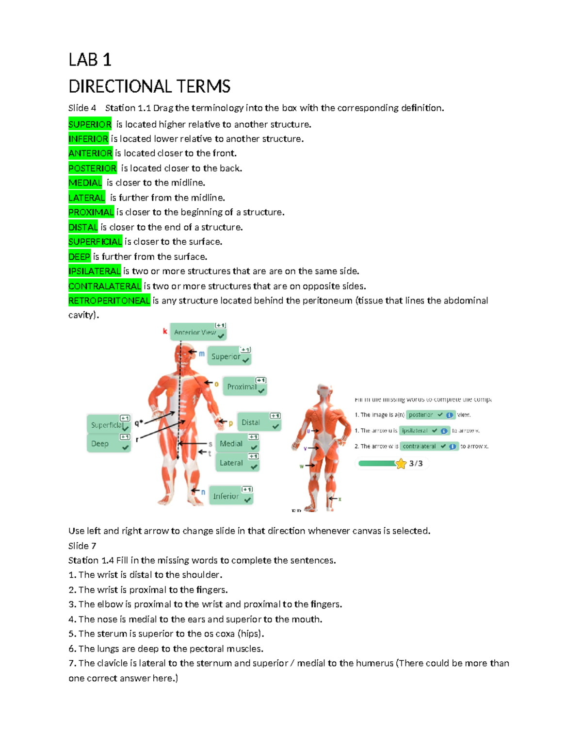 Anatomy LAB 1 - Summary of Directional Terms, Body Regions, and Regions ...