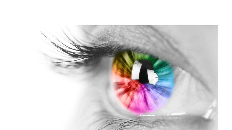 Visual System Overview: Ch. 10 - Retinofugal Pathways & Processing ...