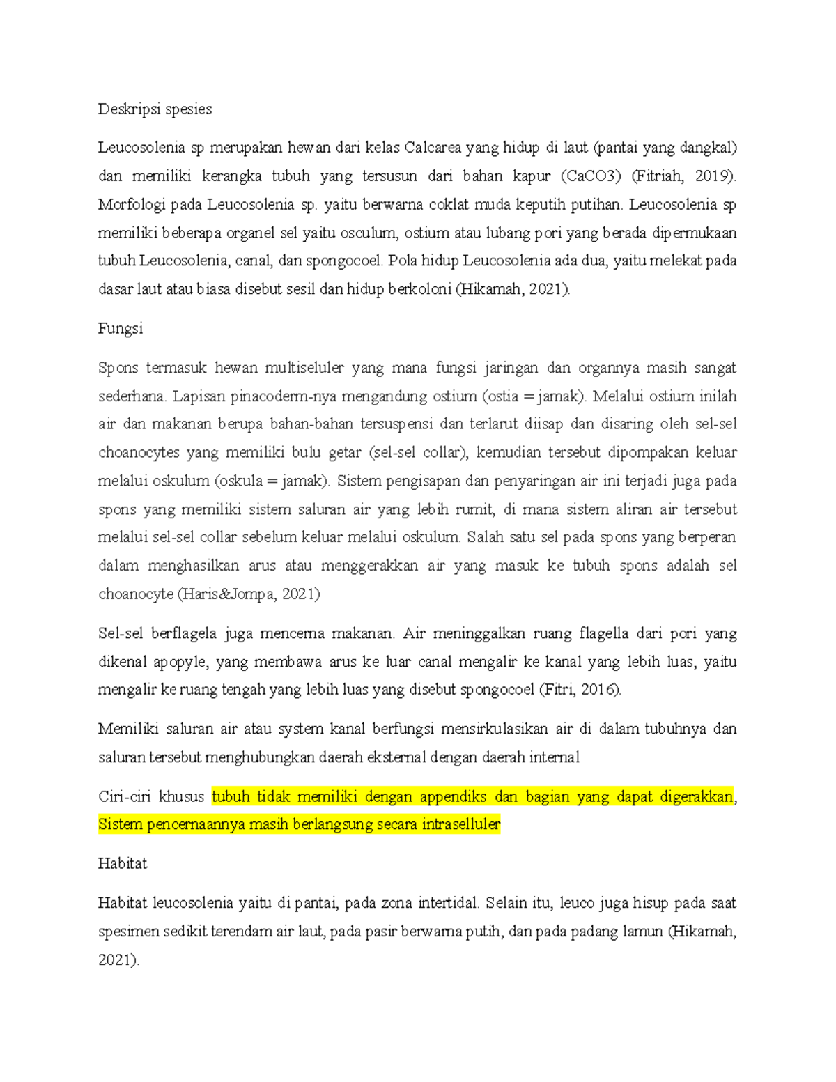 Studi Morfologi dan Habitat Leucosolenia sp: Kelas Calcarea di Pantai ...