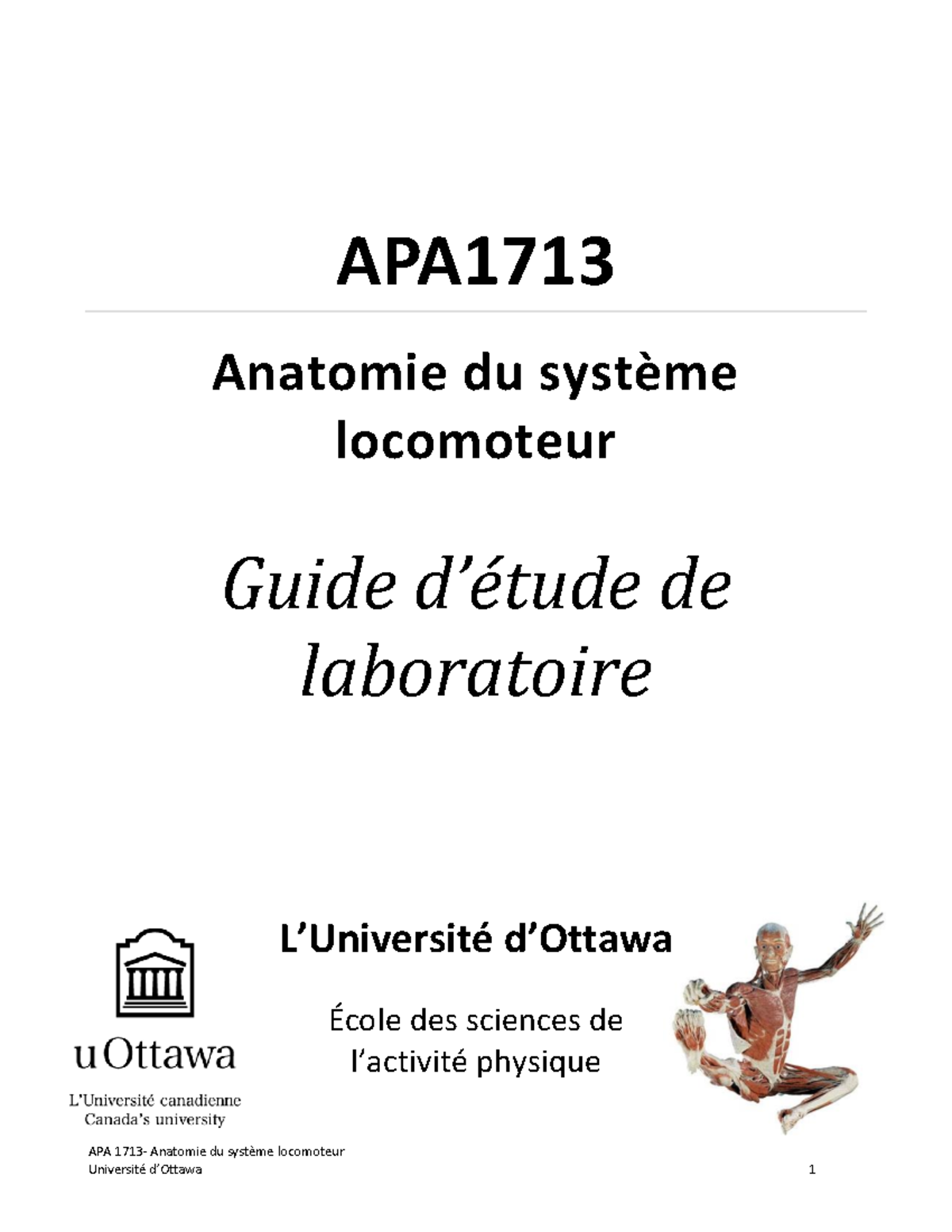 APA1713 Guide d'étude sur le Système Locomoteur - Laboratoire - Studocu