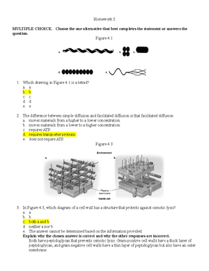 Exam 1 Review - Study guide for the first Microbiology exam covers ...