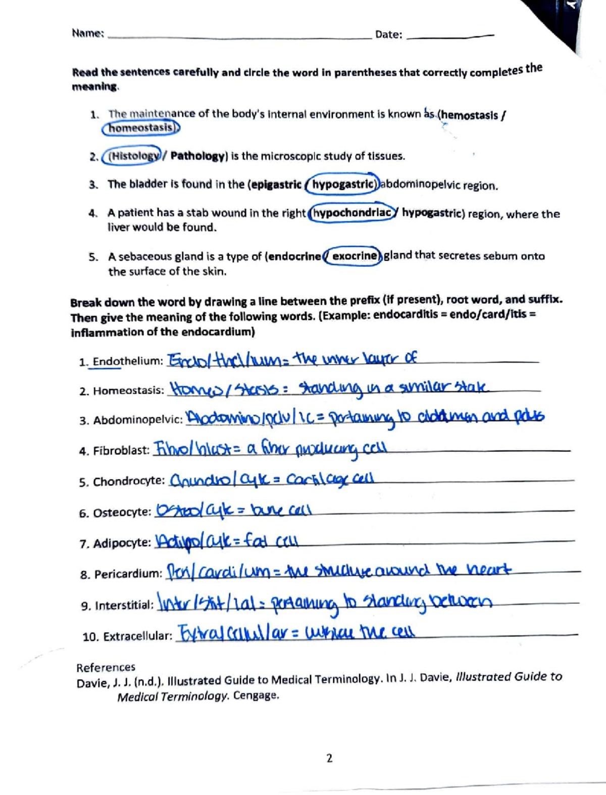 Anatomy & Physiology Learning Guide (Ch. 2 & 5) - Handwritten Notes ...