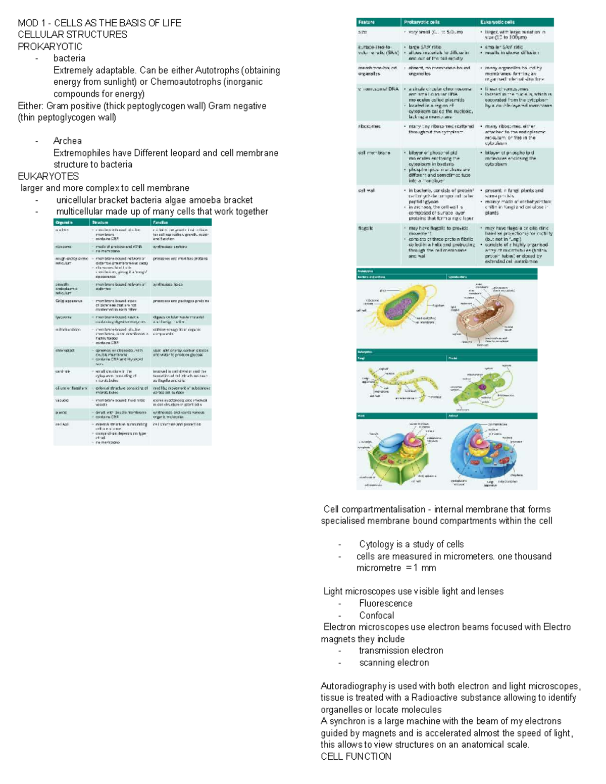 MOD 1 - Cellular Structures and Functions in Life - Studocu