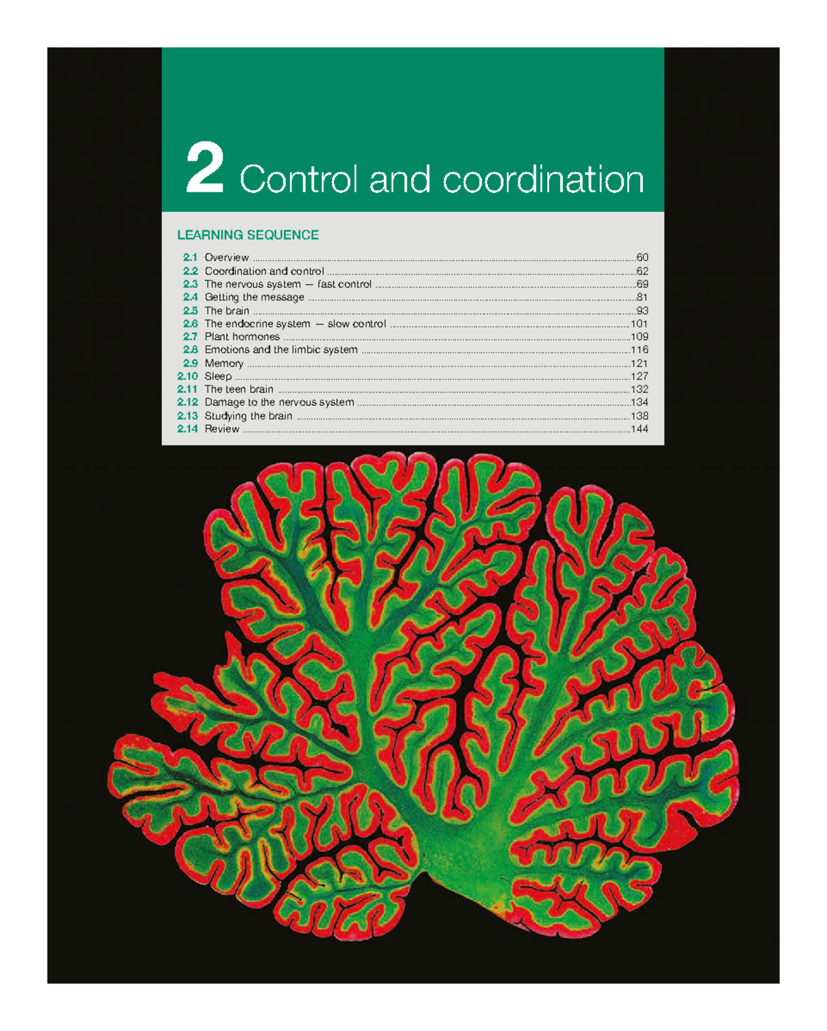 C02 Control and coordination chapter notes and overview - Studocu
