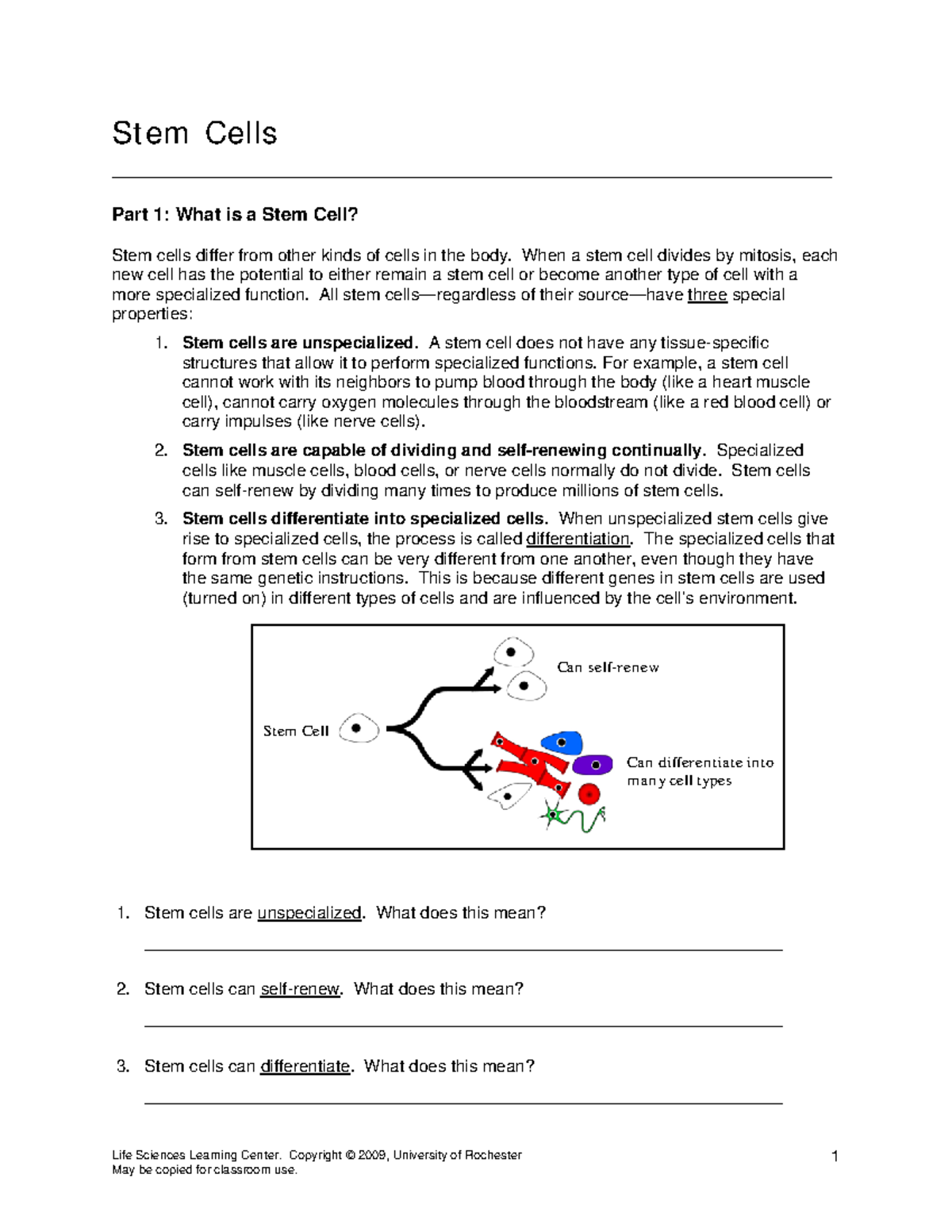 Stem Cells Overview and Applications - Life Sciences Test 1-3 - Studocu