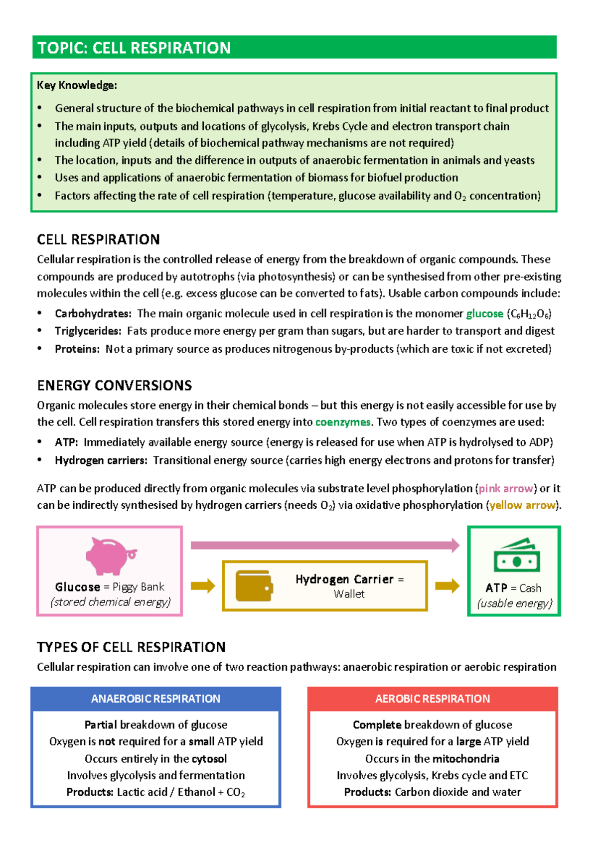 Cell Respiration Overview: Pathways, Mechanisms & Factors (BIO101 ...