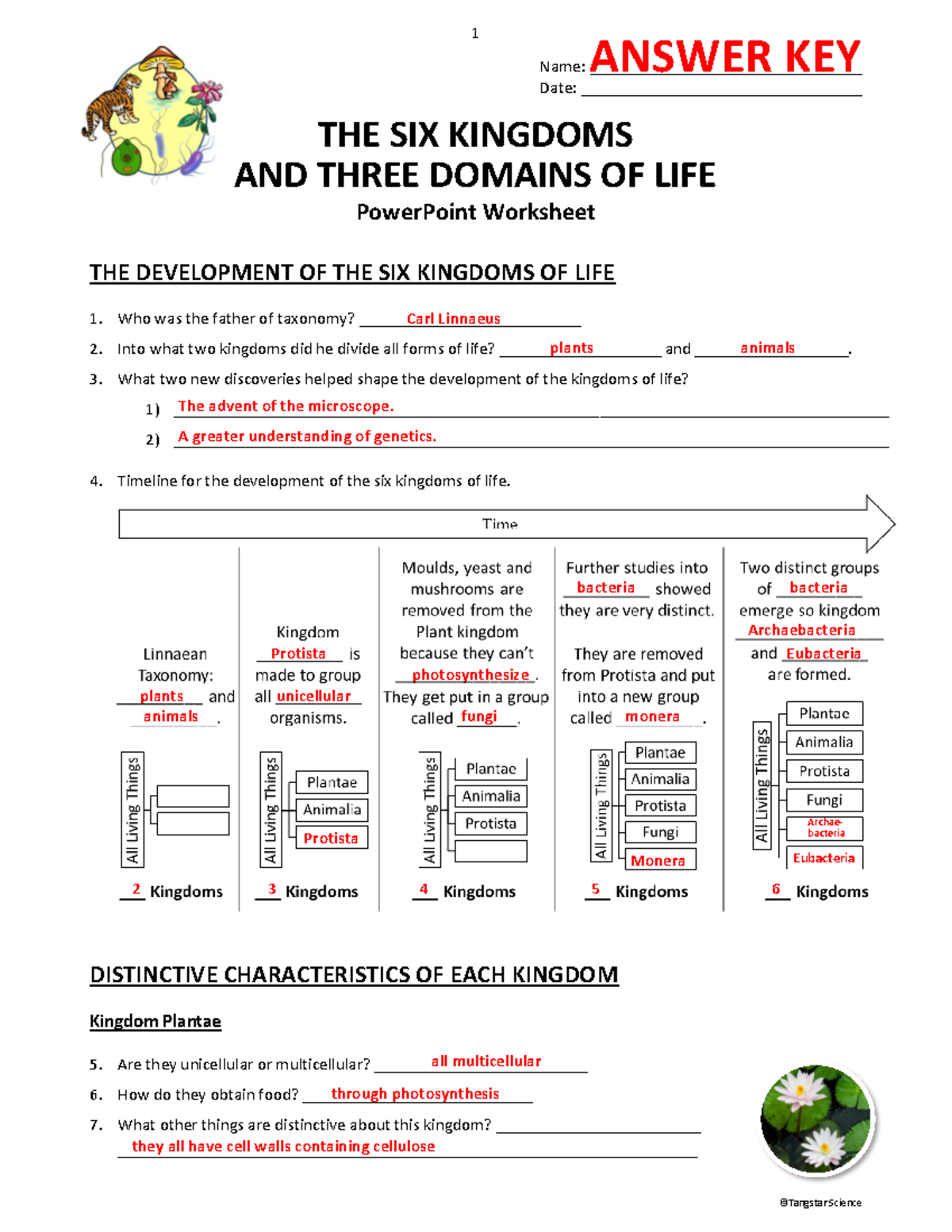 Six Kingdoms & Three Domains of Life - PowerPoint Worksheet Answer Key ...