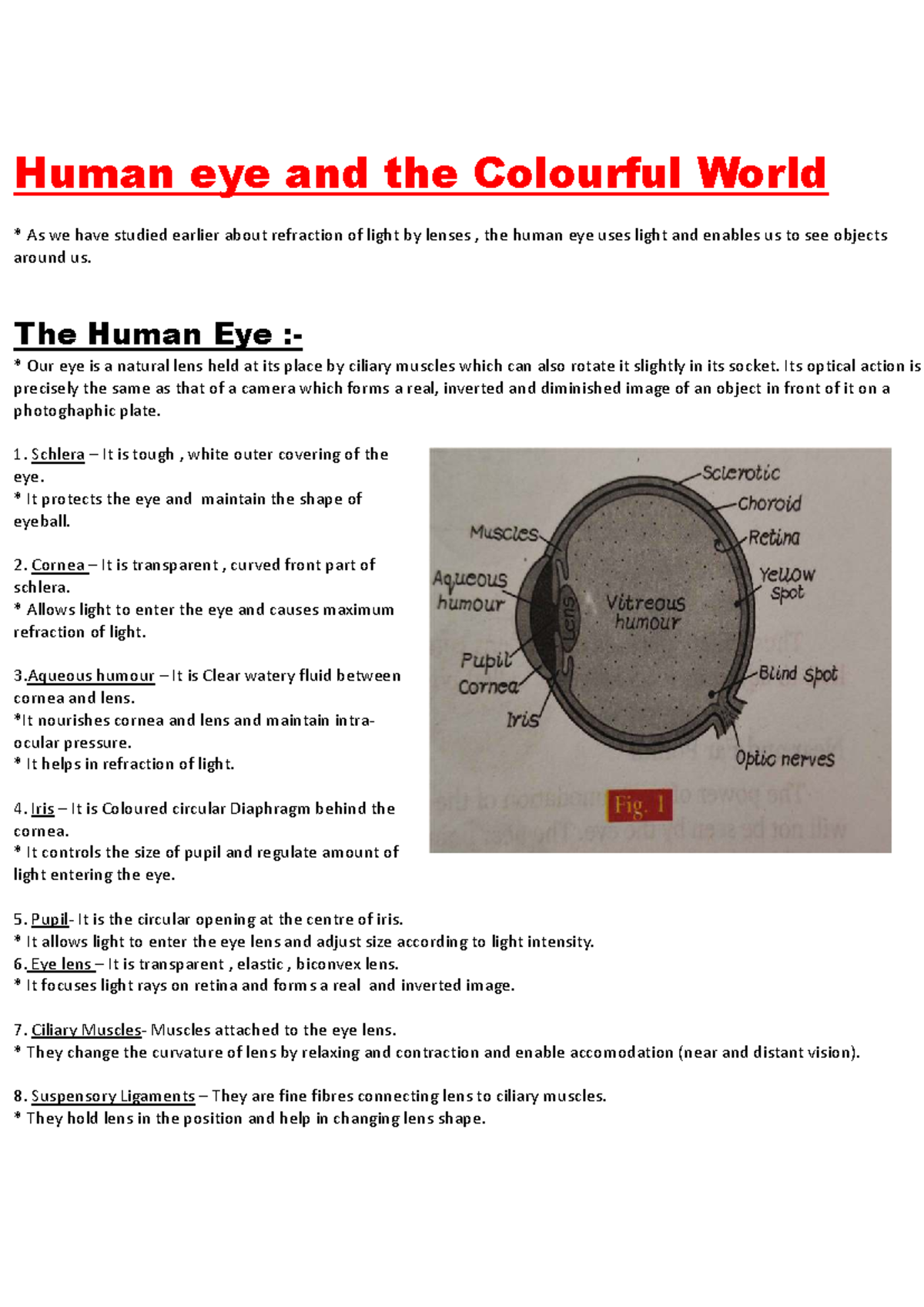 Human Eye & Color Perception: A Study on Light Refraction - Studocu
