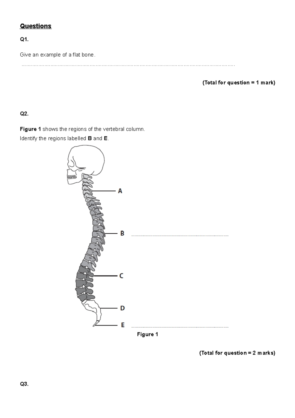 Mini quiz 1 - structure of skeletal system - Questions Q1. Give an ...