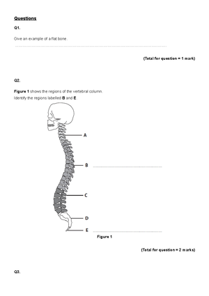 Btec-sport-revision-guide-skeletal-system-2019 - NAME: BTEC Revision ...
