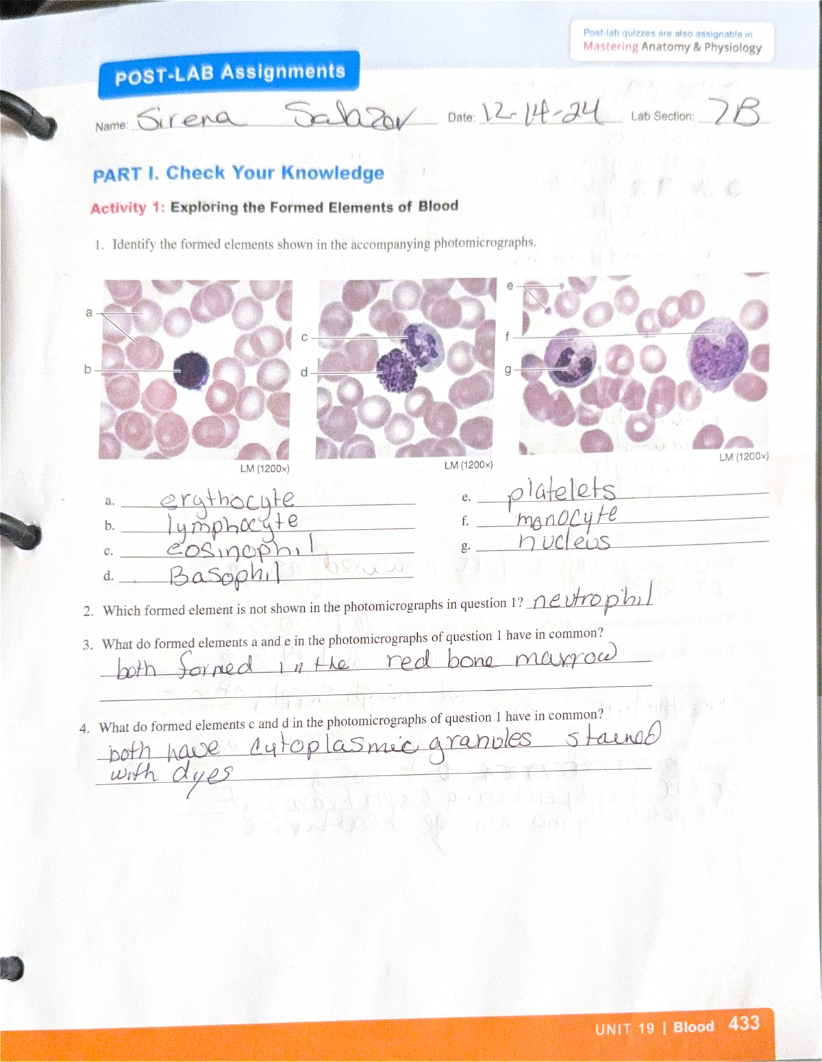 Post lab 19 blood - Homework - quizzes are also assignable in Mastering ...