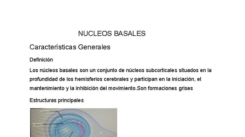 Núcleos basales - NUCLEOS BASALES Características Generales Definición ...