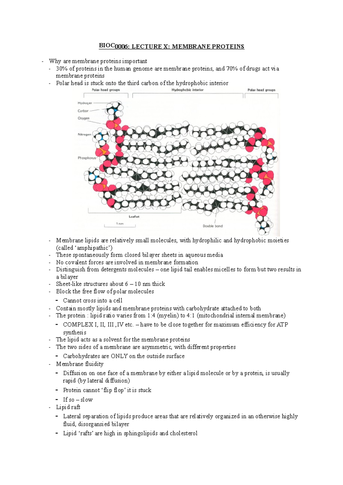 BIOC0006 lipid bil layers - BIOC 0006: LECTURE X: MEMBRANE PROTEINS Why ...