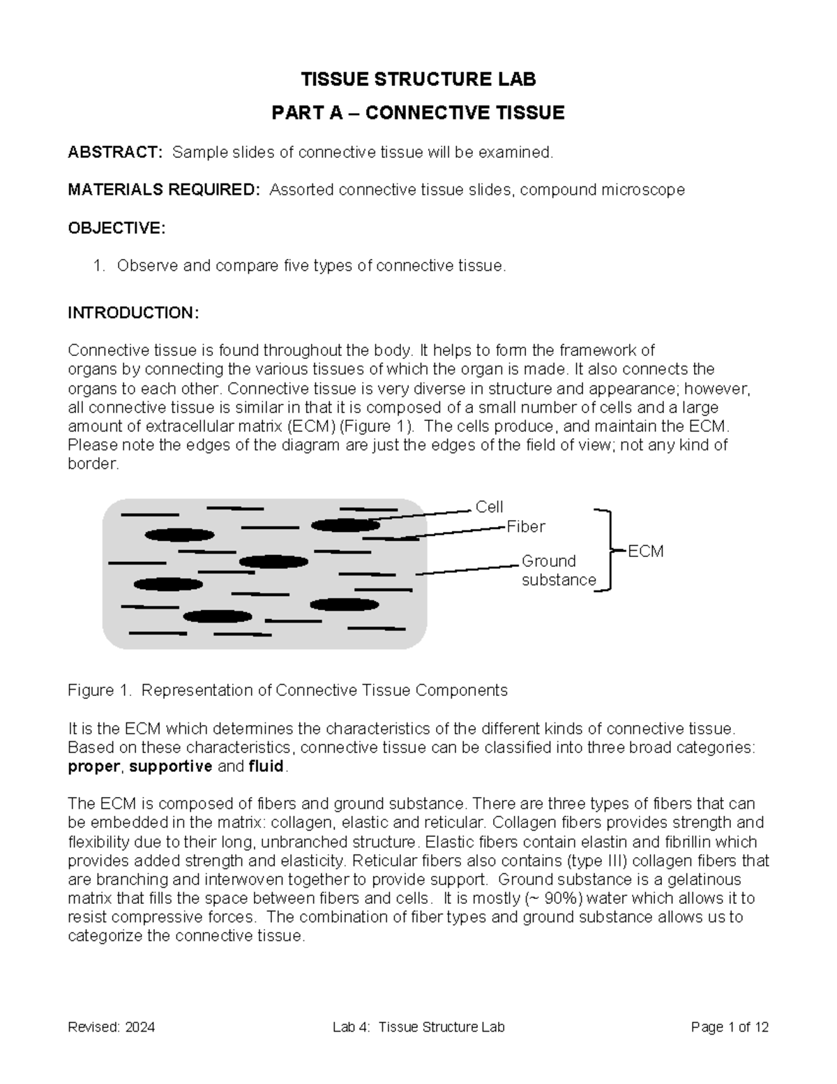 1103 Lab 4: Connective Tissue and Frog Intestine Structure Analysis ...