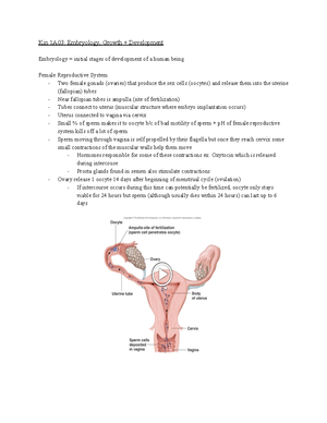Skeletal Muscle Physiology - Skeletal Muscle Physiology: Motor Unit: A ...