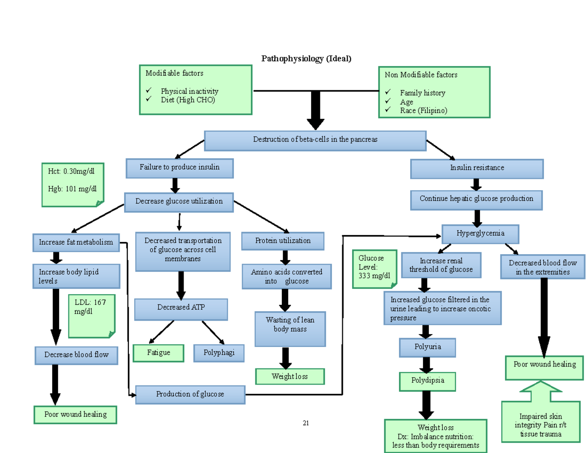 DM Pathophysiology: Ideal Factors & Clinical Implications - Studocu