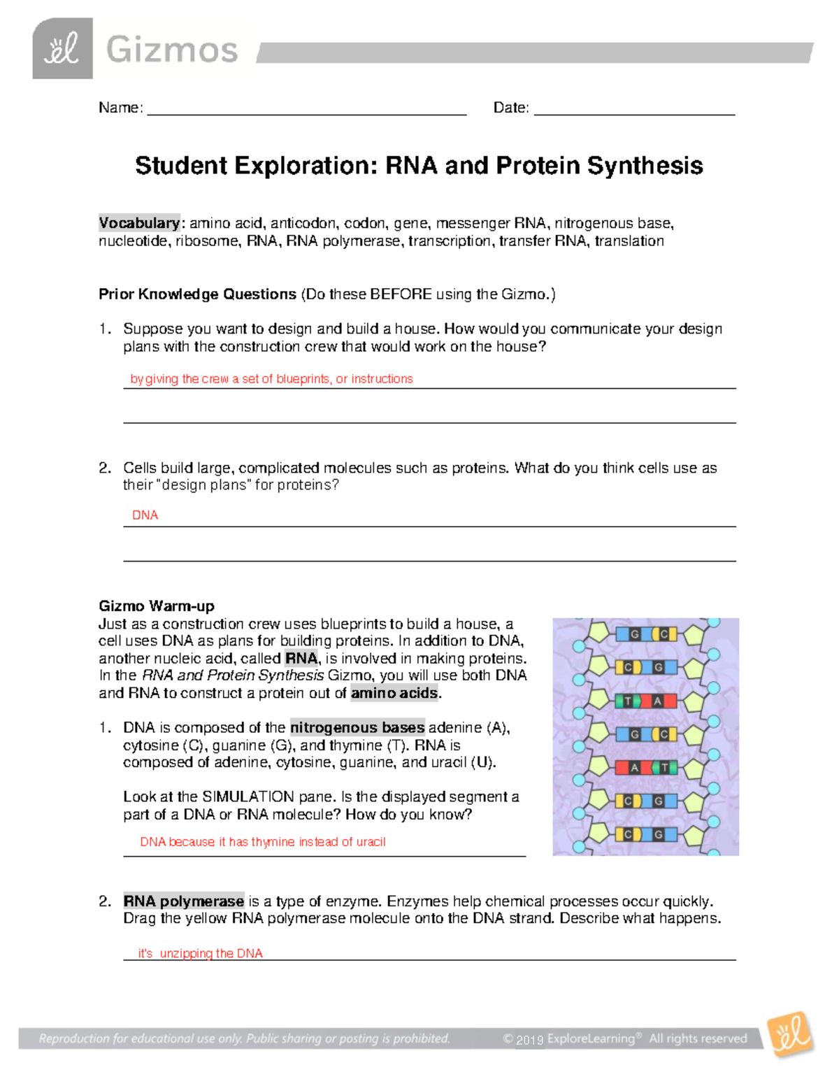 RNA and Protein Synthesis SE: Exploring Transcription & Translation ...