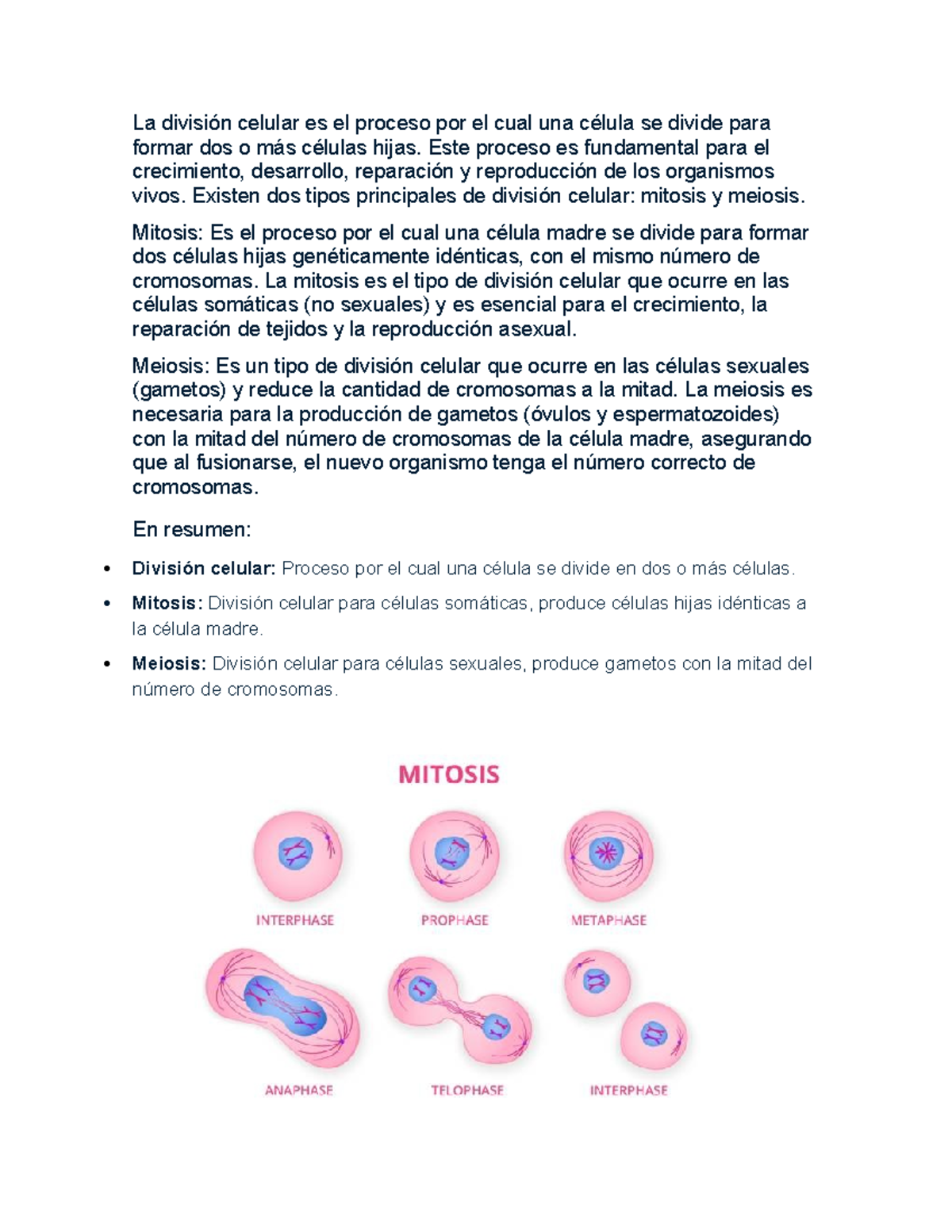 División Celular: Mitosis y Meiosis - Conceptos Clave - Studocu