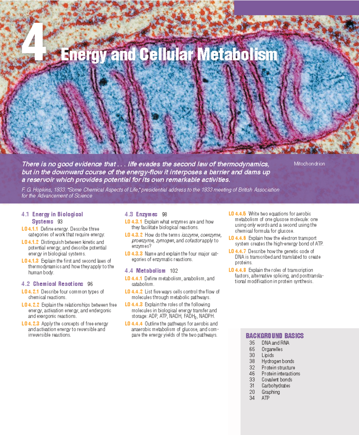 Chapter 4: Energy and Cellular Metabolism Overview (M04_SILV5197) - Studocu
