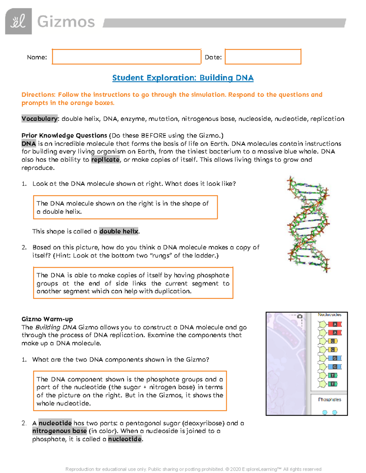 DNA Gizmos Lab Assignment - Name: Date: Student Exploration: Building ...