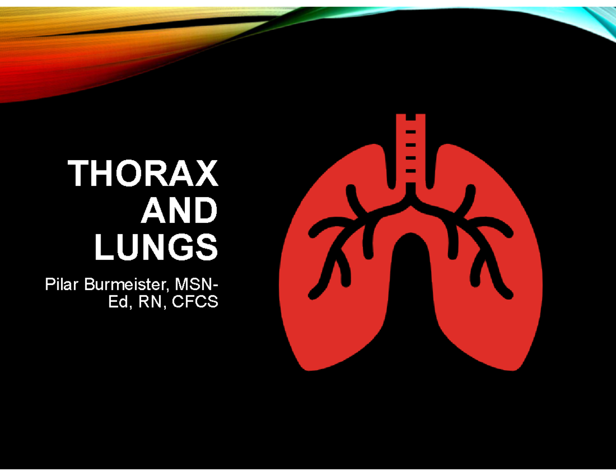 THORAX AND LUNGS: STRUCTURE & MECHANICS - SKELETAL PP - Studocu