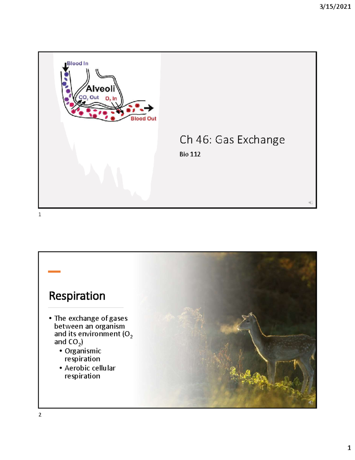 Bio 112: Ch 46 Gas Exchange Lecture Notes - Studocu