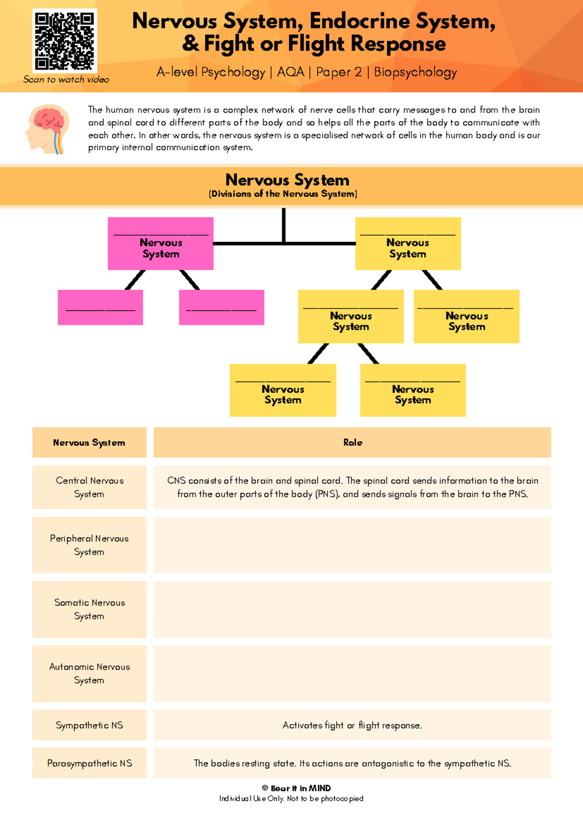 Nervous & Endocrine Systems: AQA Paper 2 Biopsychology Notes - Studocu