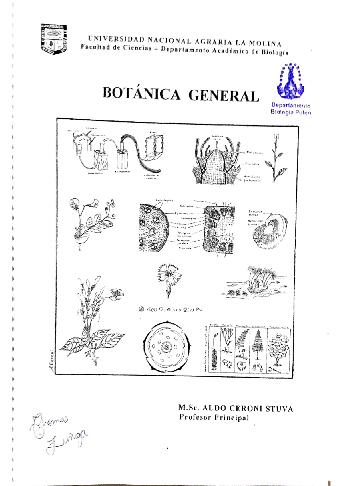 Botánica General I: Introducción y Fundamentos con Prof. Ceroni - Studocu