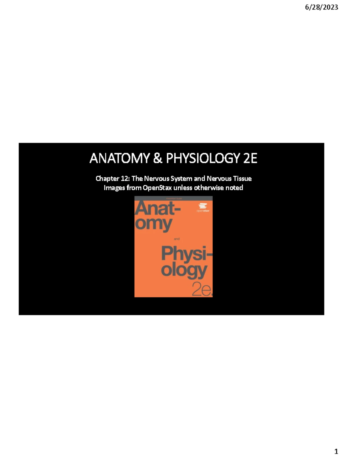 Neuronal Function & Nervous System Physiology: Key Concepts Overview ...