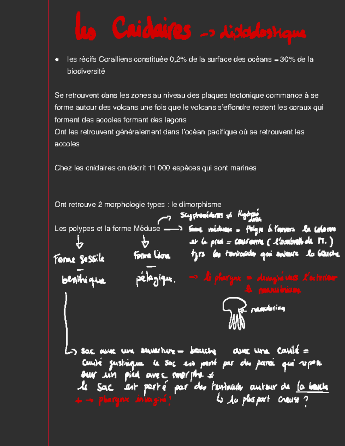 Les cnidaires - Partie 1 : Structure et Reproduction des Coraux - Studocu