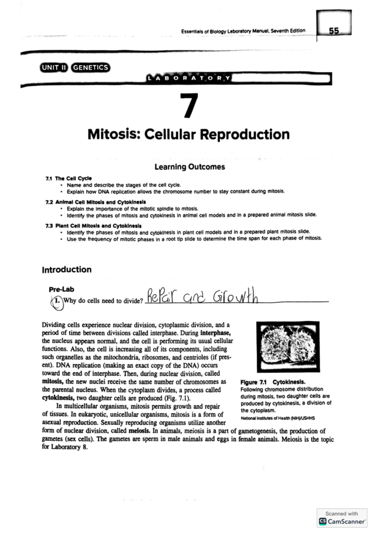 Lab 7 and 8 - biology - Essentials of Biology Laboratory Manual ...