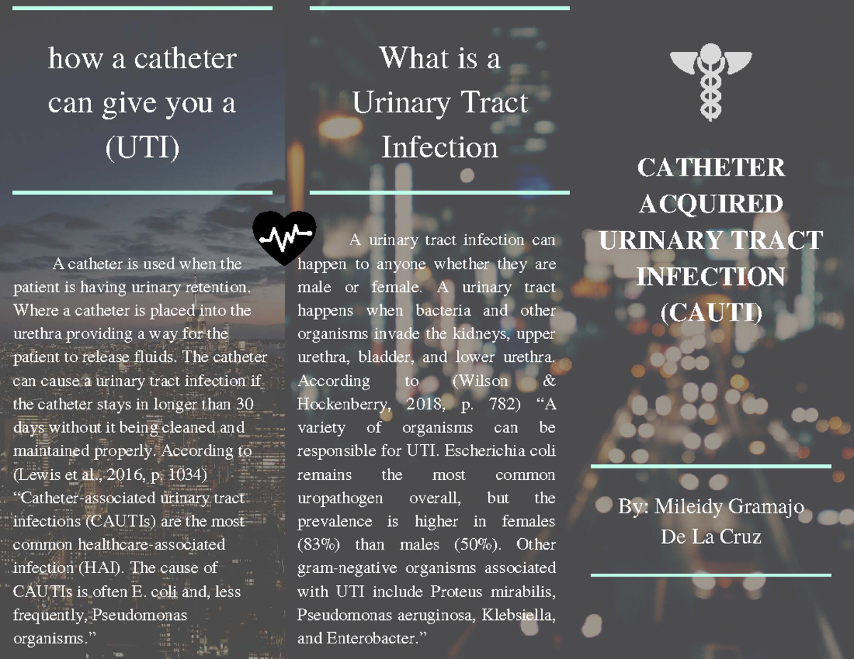 CAUTI: Understanding Catheter-Associated Urinary Tract Infections - Studocu