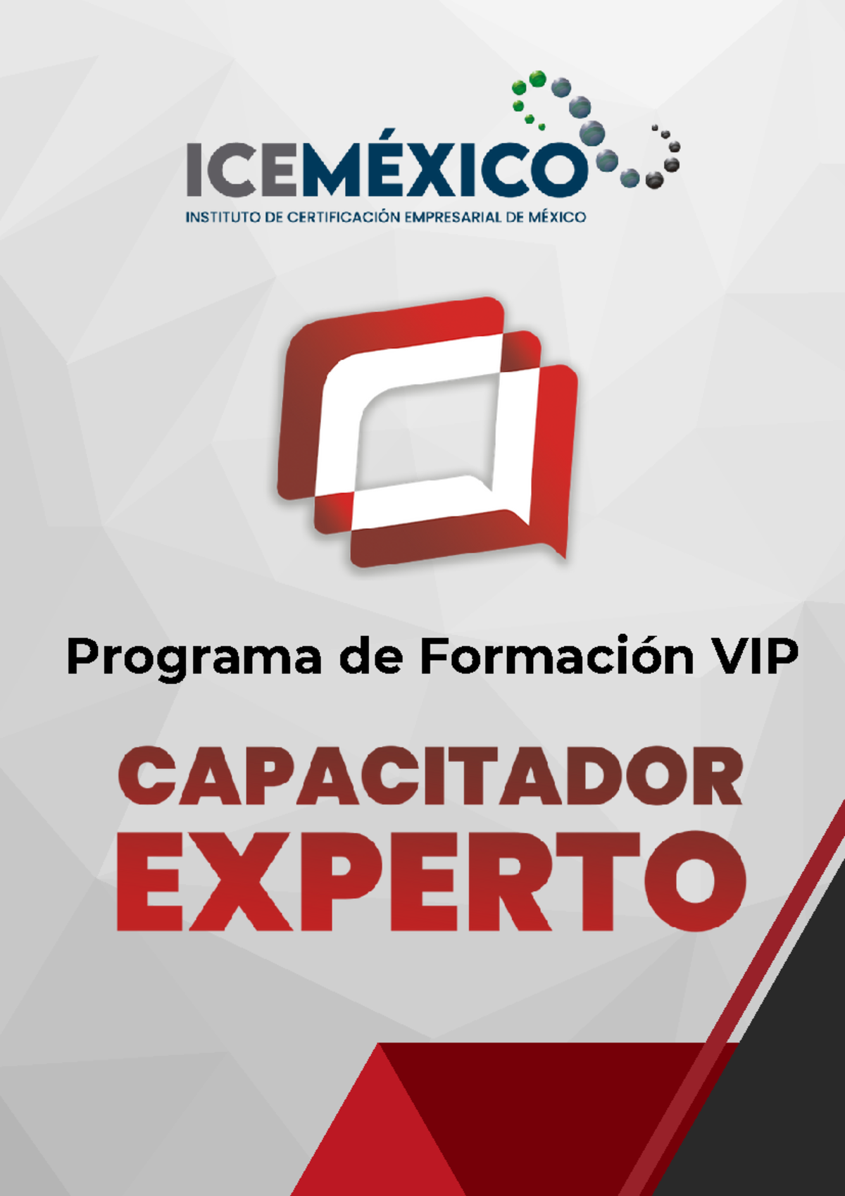 VIP Training Program Overview - Certification Details & Launch (Feb ...