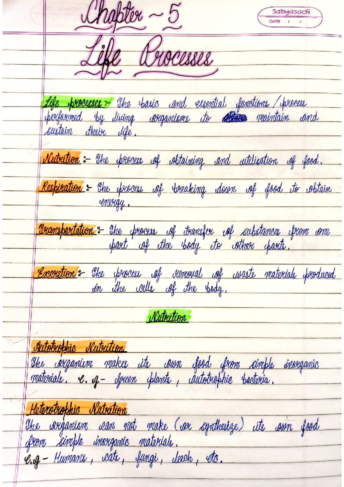High-Quality Handwritten Notes (BIO101) - Life Processes & PYQs - Studocu