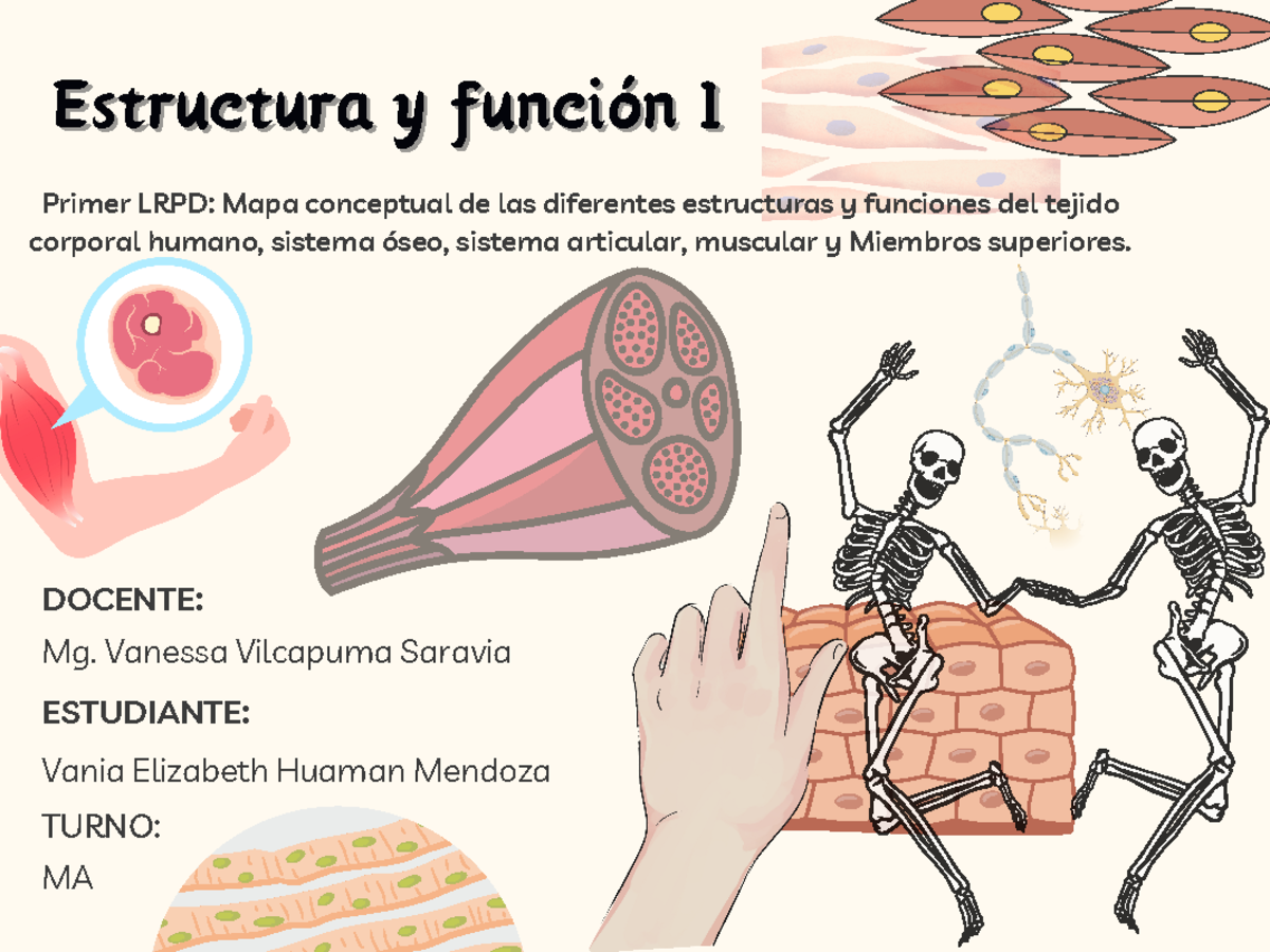 Estructura y Función del Tejido Humano - LRPD 2023 - Studocu