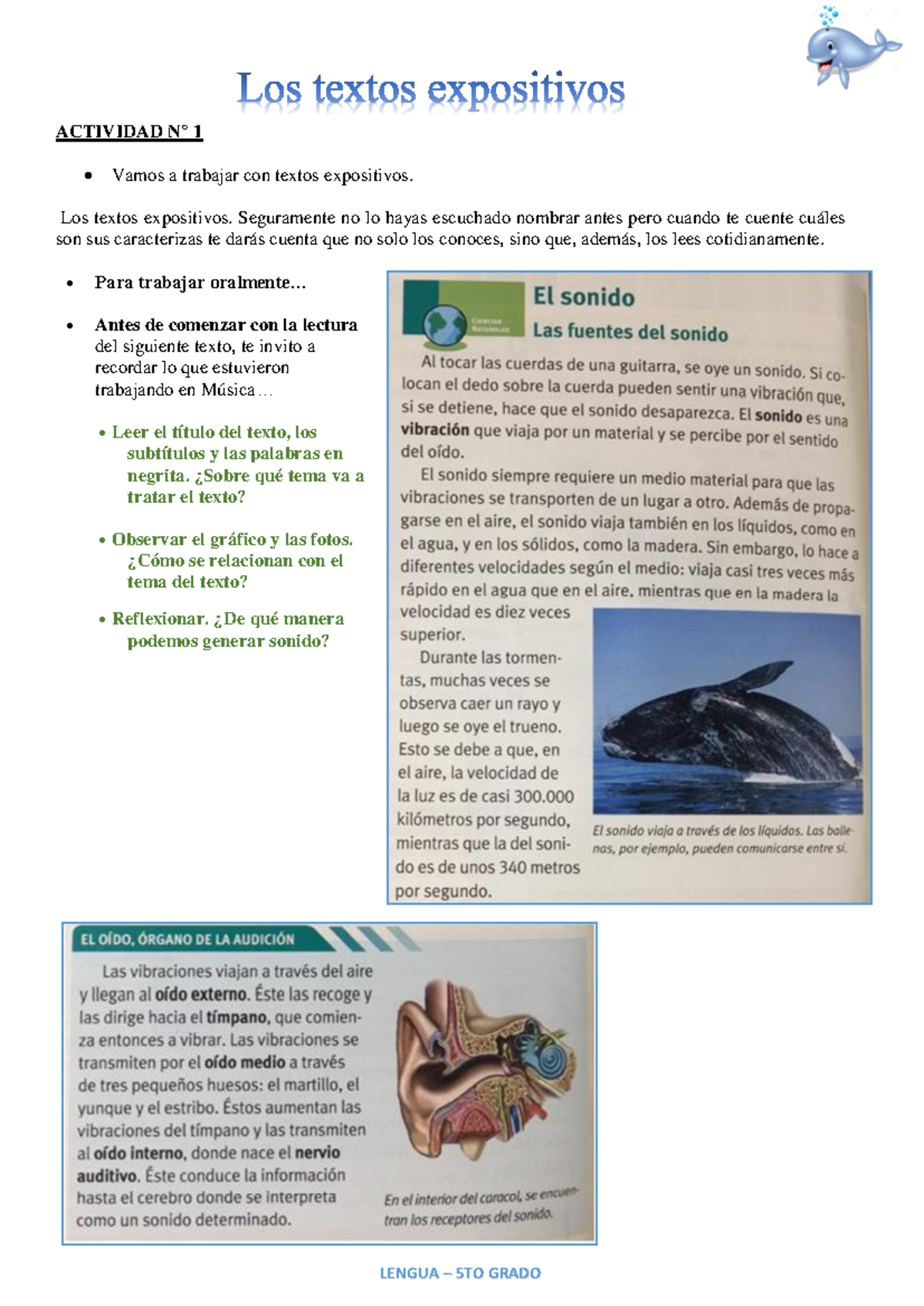 Textos Expositivos Tipos Y Ejemplos Pdf Free - Infoupdate.org