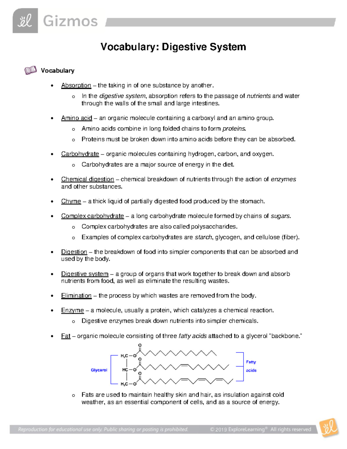 Digestive System Vocabulary (BIOL 101) - Key Terms Explained - Studocu