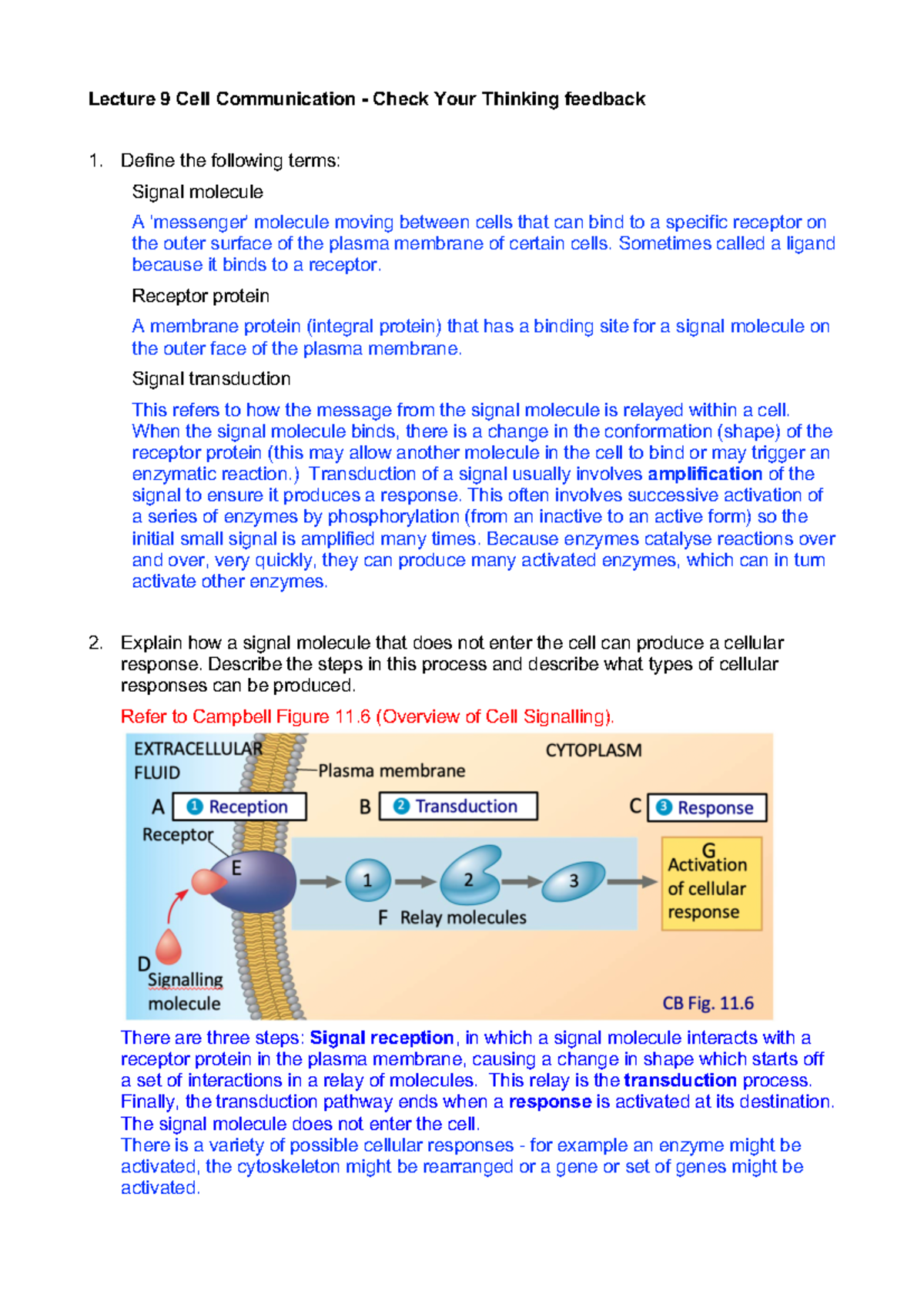 Lecture 9: Cell Communication - Check Your Thinking Feedback - Studocu