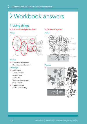 Chapter 2C Skillsheet - Coordinate Geometry & Linear Relations - Studocu