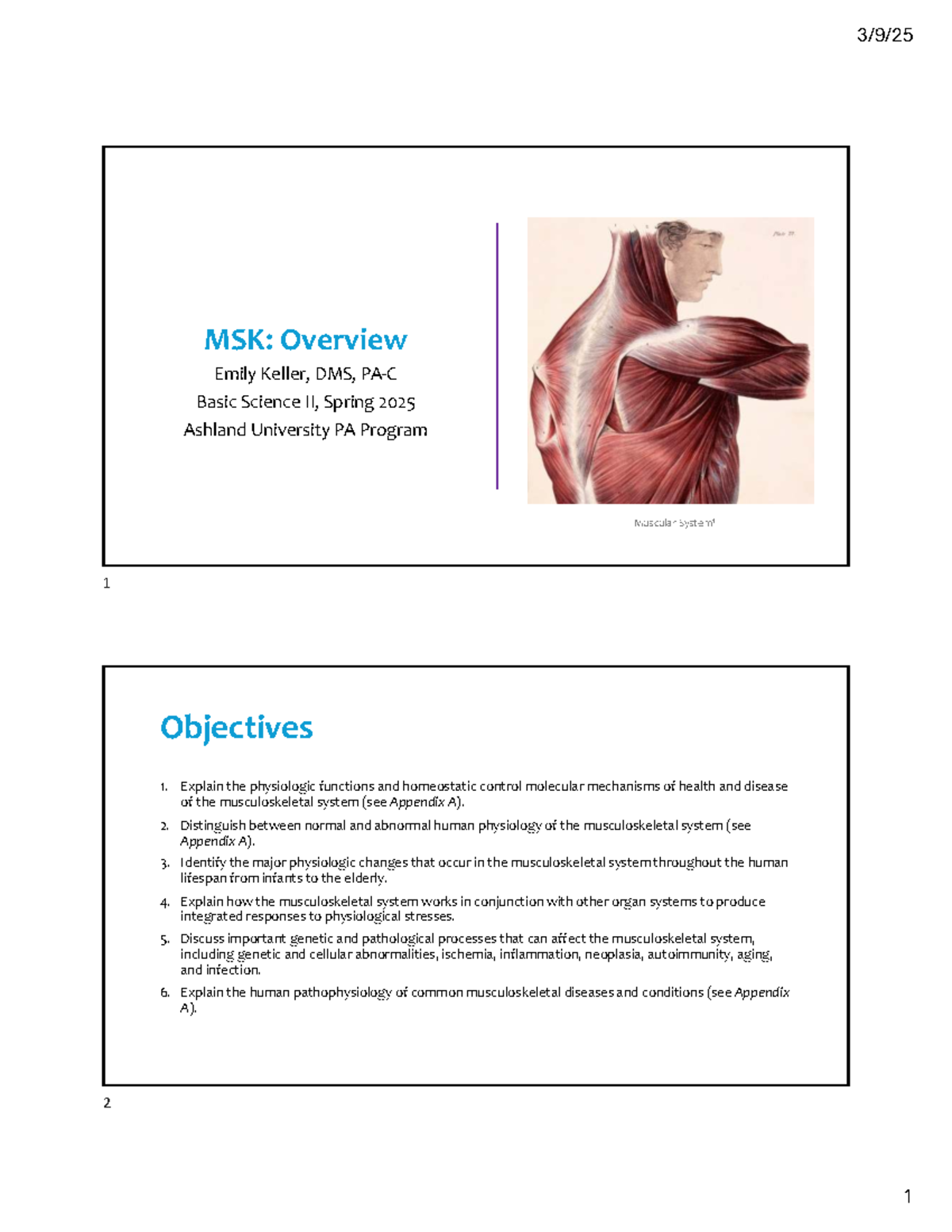 Bone Development, Growth, and Remodeling in the MSK System - Basic ...