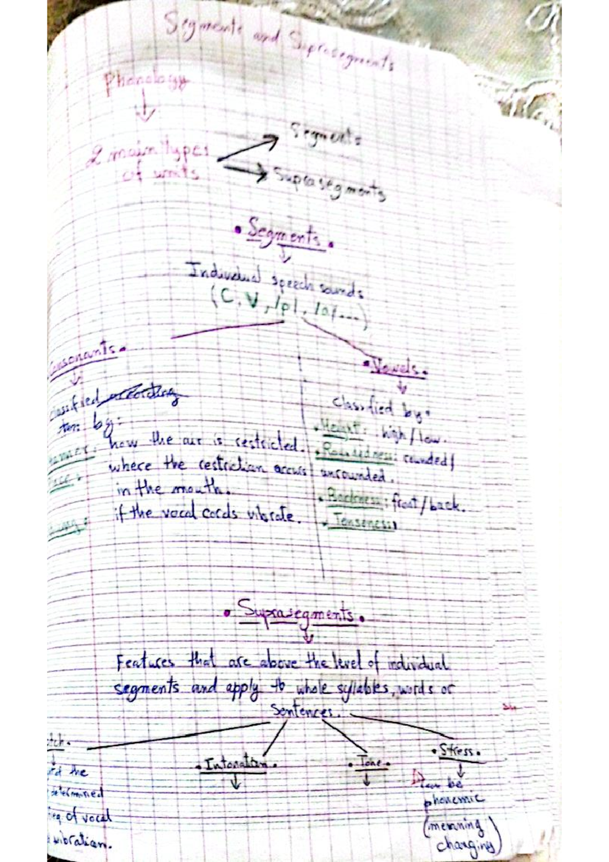Phonology Overview: Segments & Suprasegments in Speech Sounds - Studocu