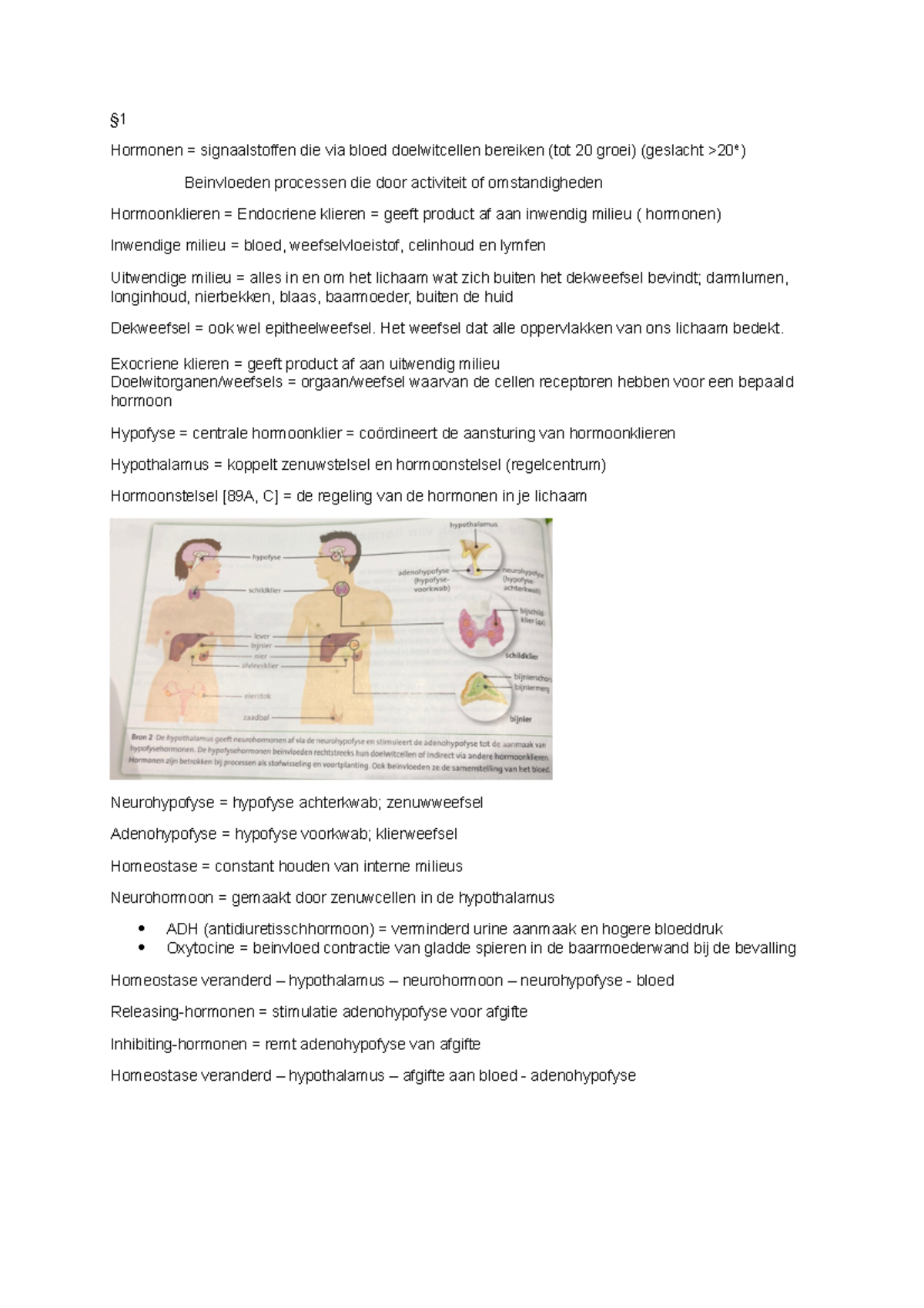 Hst12 Hormonen: Functies, Klieren en Regulatie in het Lichaam - Studeersnel