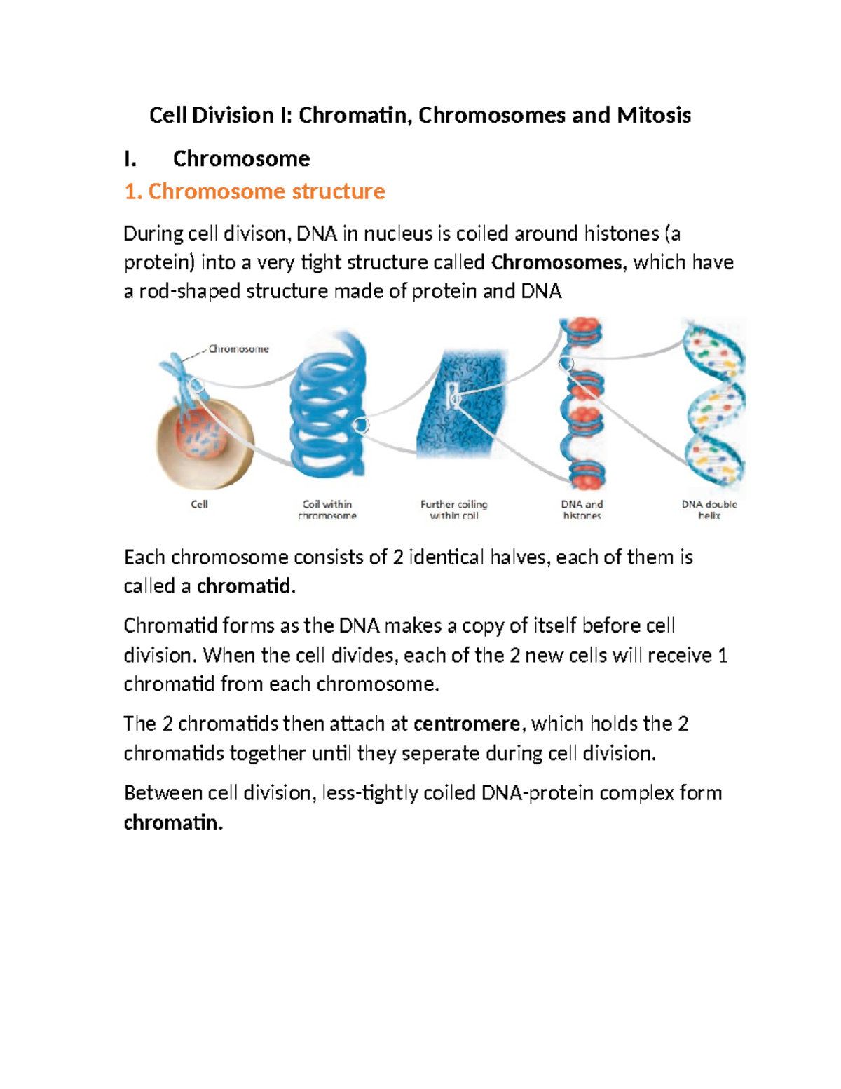 Cell Division I - Chromosome 1. Chromosome structure During cell ...